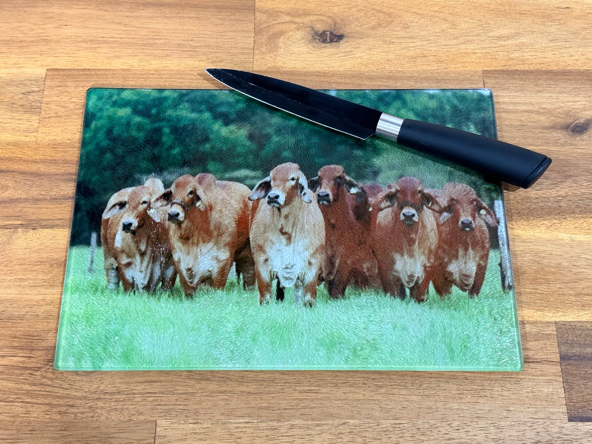 Glass Chopping Board - Brahman Herd – Little Farmhouse Designs